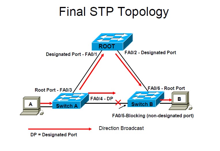 Stp Spanning Tree Protocol Explained With Examples 20 - vrogue.co Stp Spanning Tree Protocol Explained With Examples 20 - vrogue.co